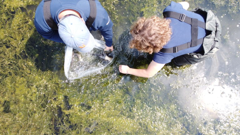 A Supportive, Empowering Environment | The William George Agency for ...