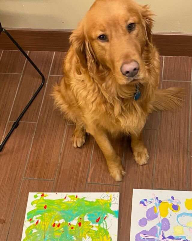 Contact | The William George Agency for Children’s Services